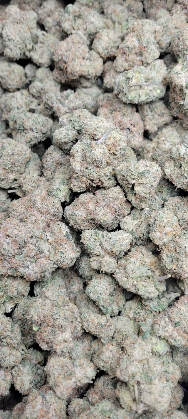 Lemoncello Runtz Exotic Hybrid THCa Flower | CaliGreenGold