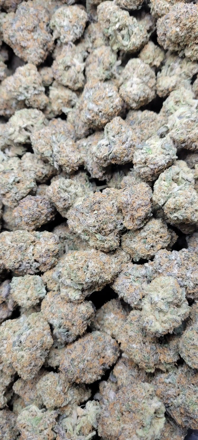 Applescotti Exotic Hybrid THCa Flower | CaliGreenGold