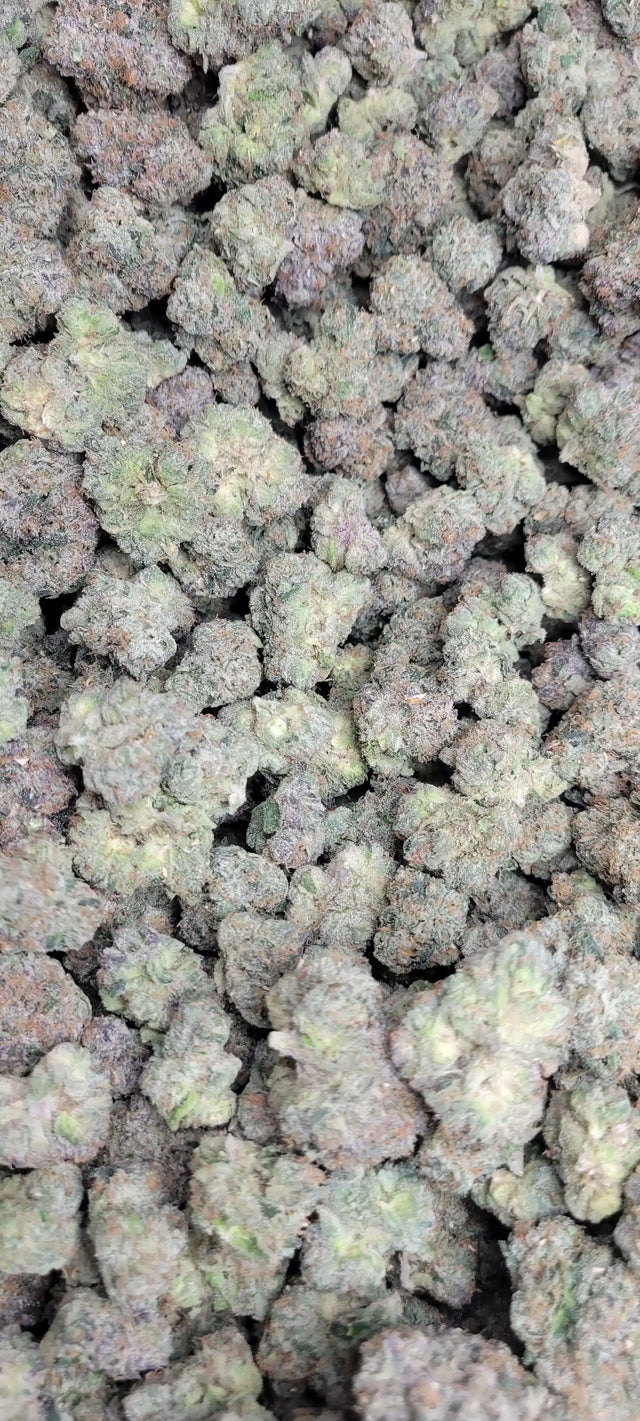 Blue Razz Exotic Hybrid THCa Flower | CaliGreenGold